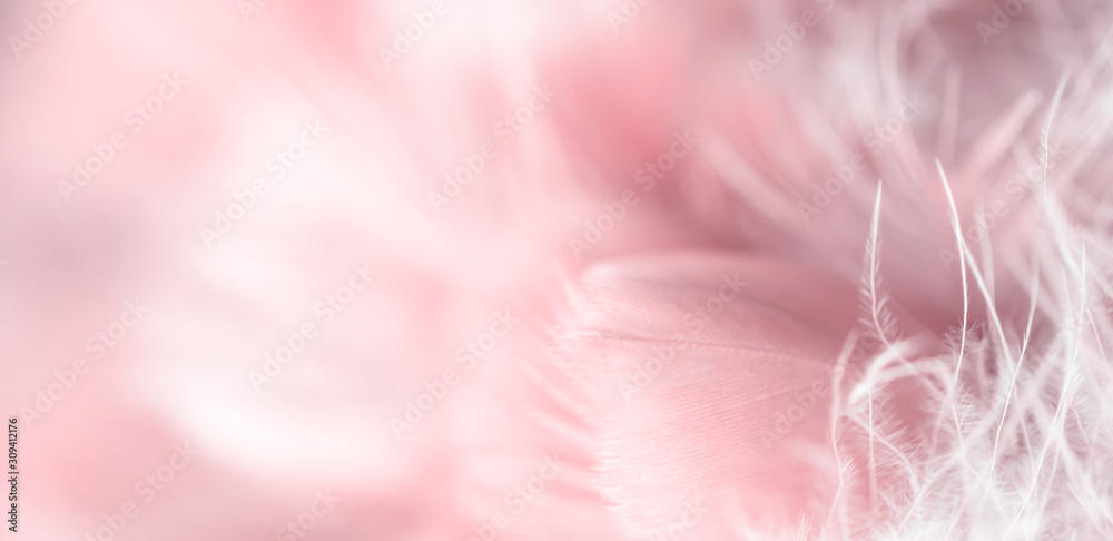 Image nature art of wings bird,Soft pastel detail of design,chicken ...