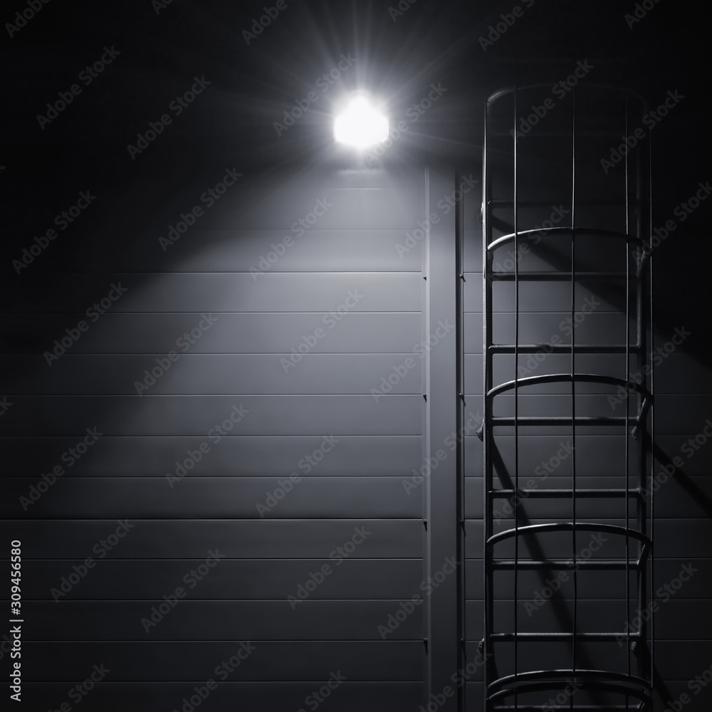 Fire emergency rescue access escape ladder stairway roof maintenance ...