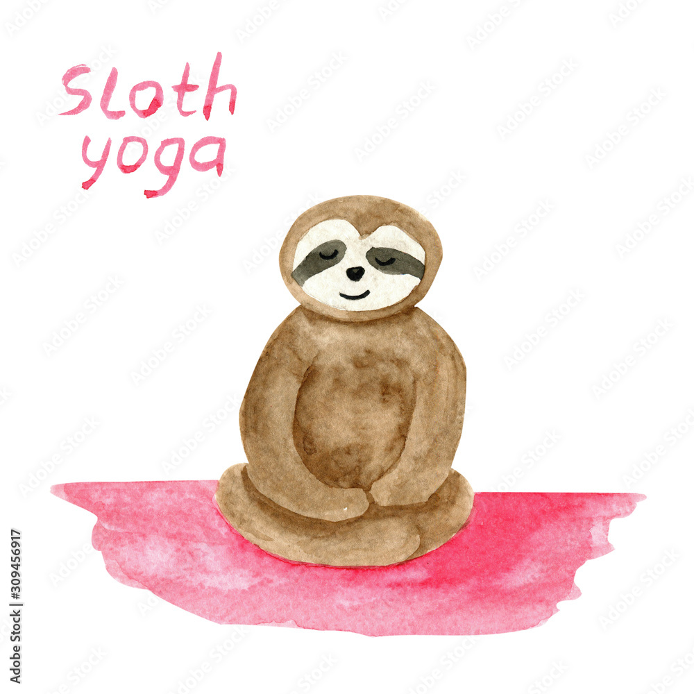 Sloth Sitting Down