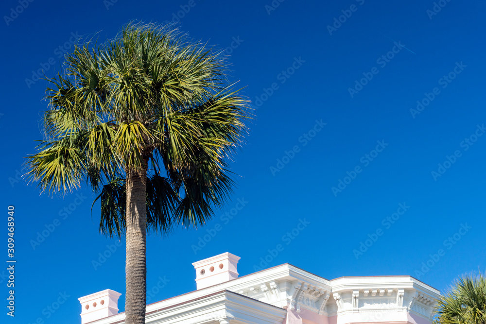 Charleston, South Carolina is home to a large and beautiful historic ...