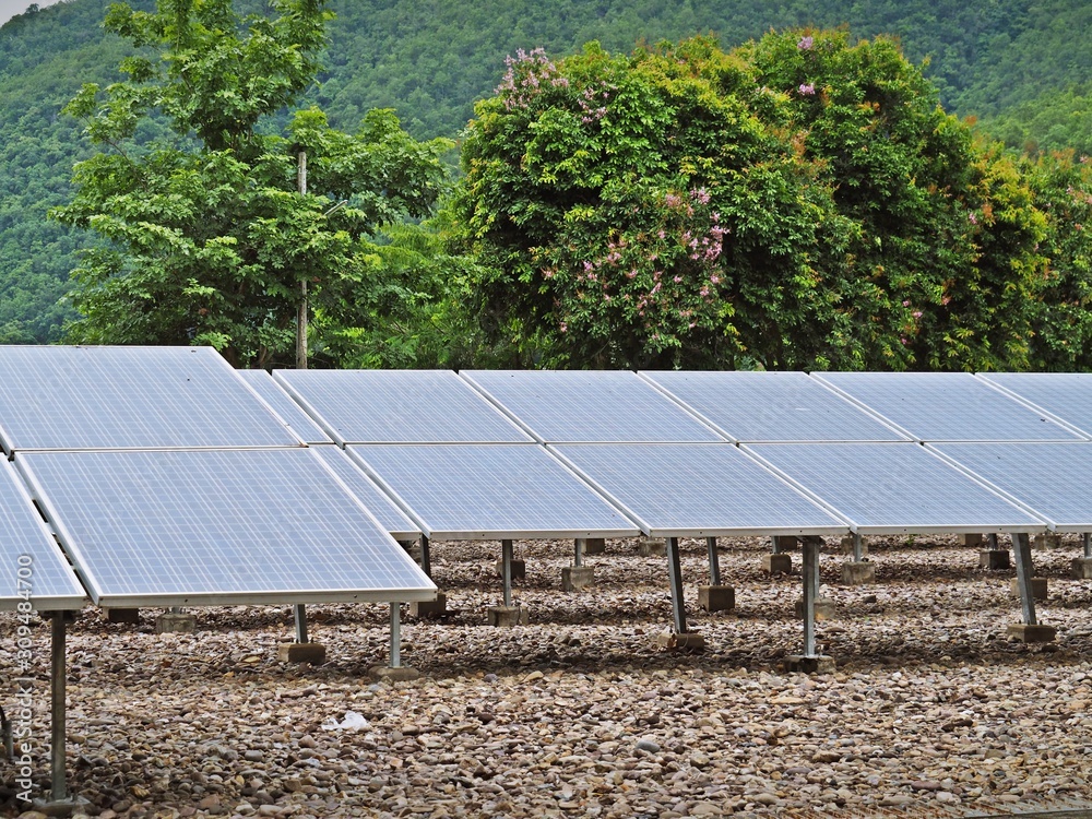 Solar panels / solar farm installed on gravel ground with trees ...