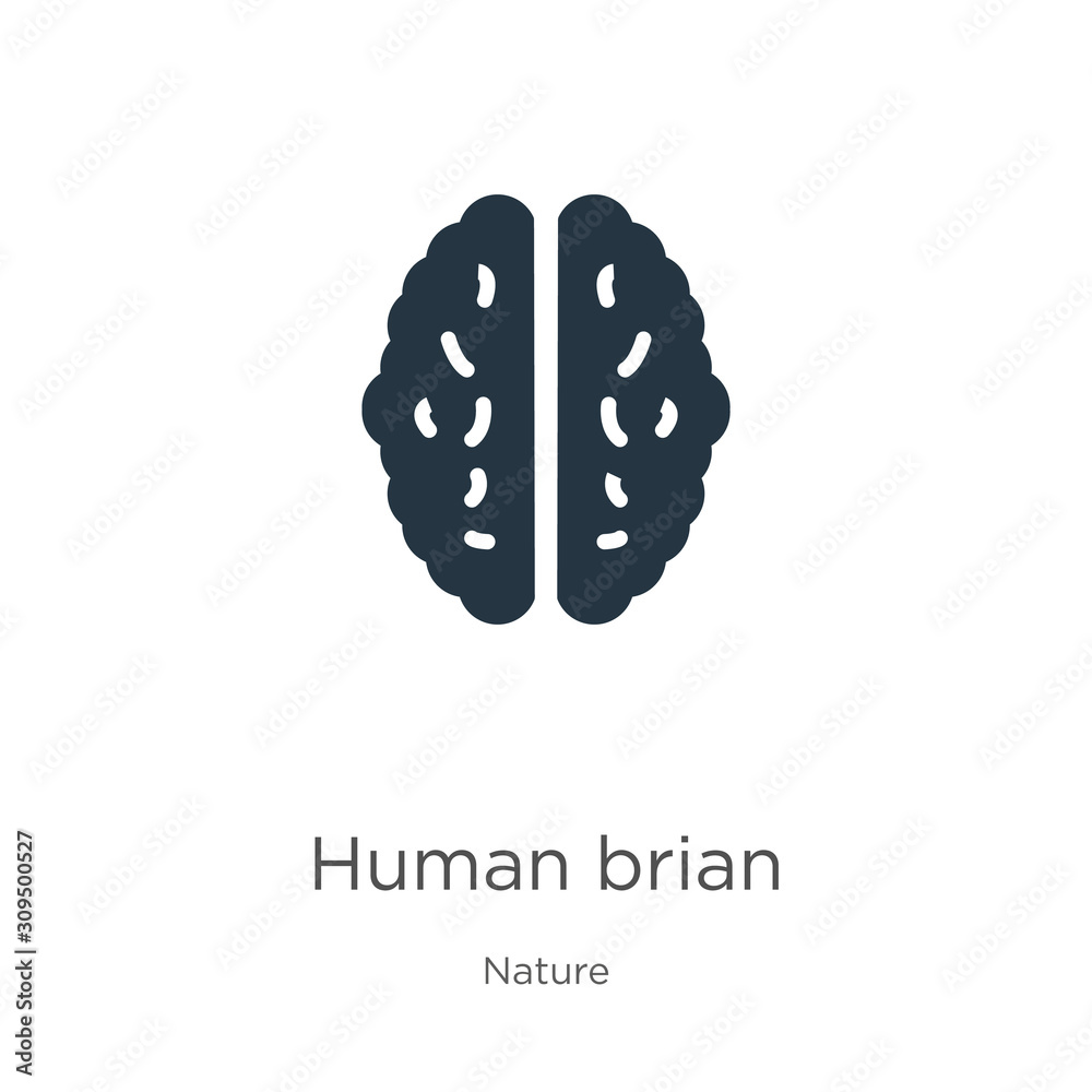 Human brian icon vector. Trendy flat human brian icon from nature ...