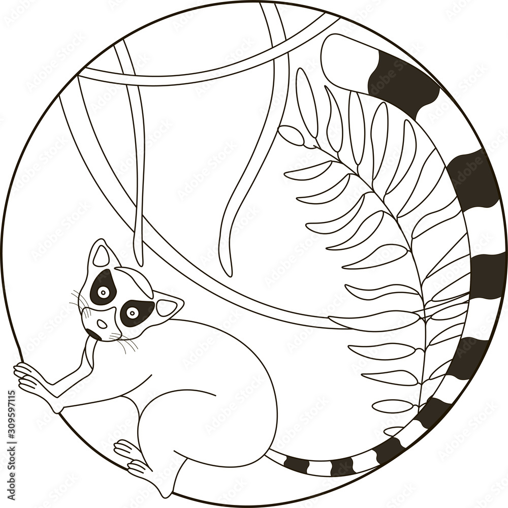 Lemur in jungle illustration. Lemur logo template. Lemur in jungle ...