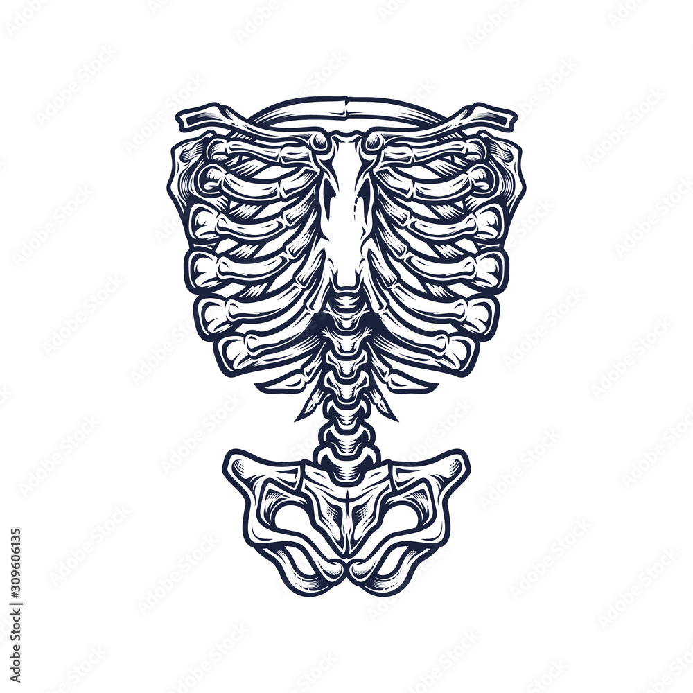 Skeleton torso template. Stylish, hand drawn vector illustration in ...