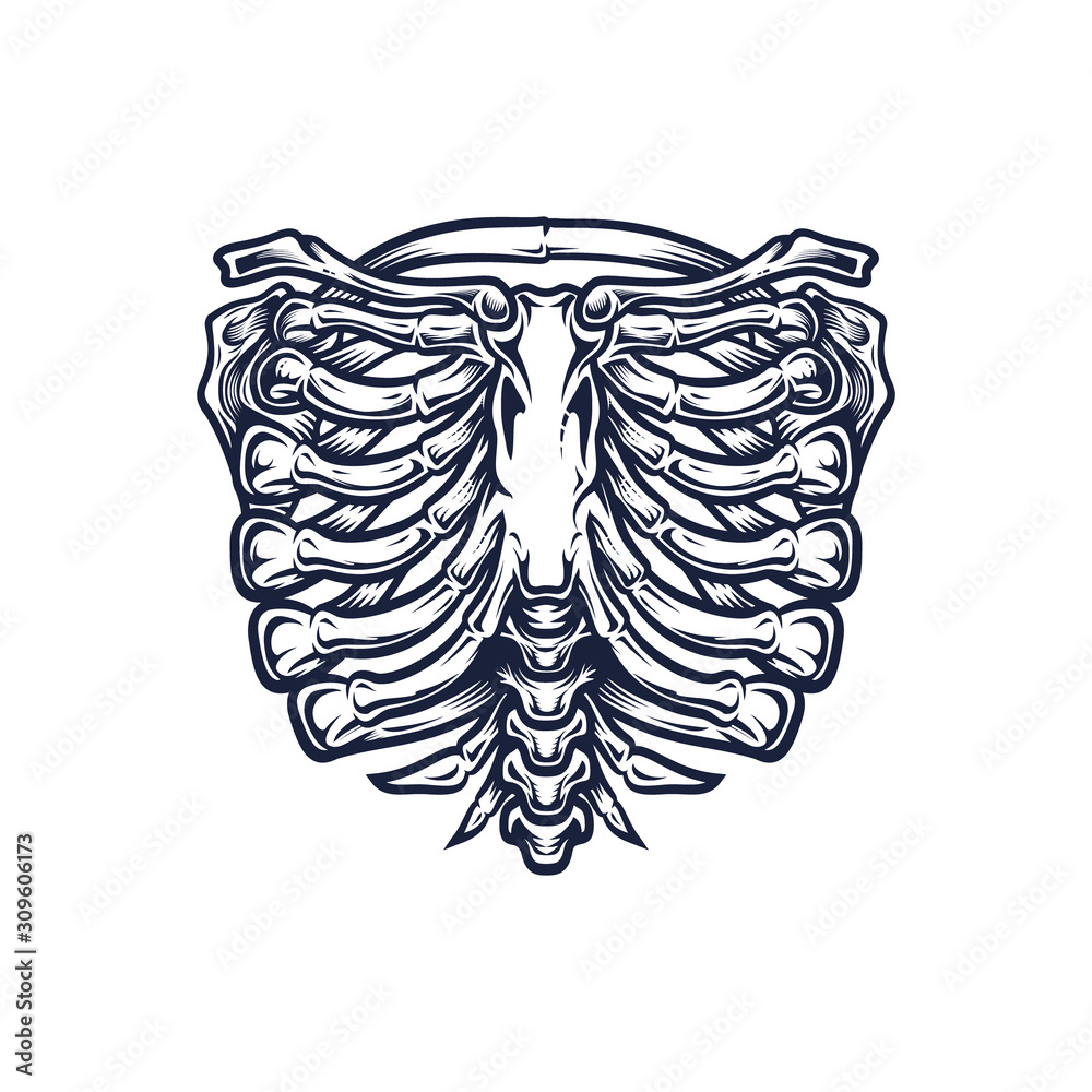Skeleton torso ribs template. Stylish, hand drawn vector illustration ...