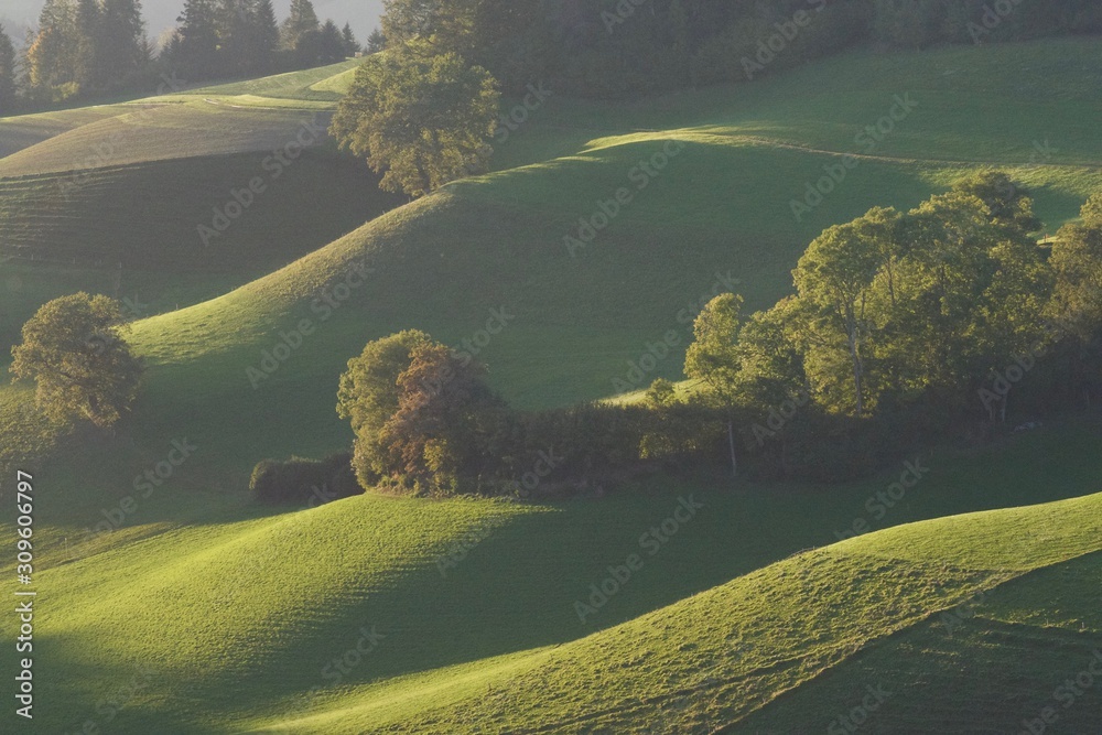 Lush green hills of emmental valley in Bern, Switzerland Stock Photo ...