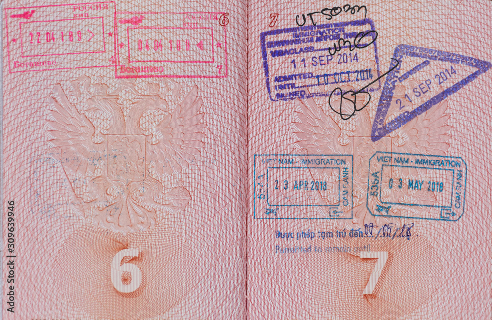 Russian International Passport