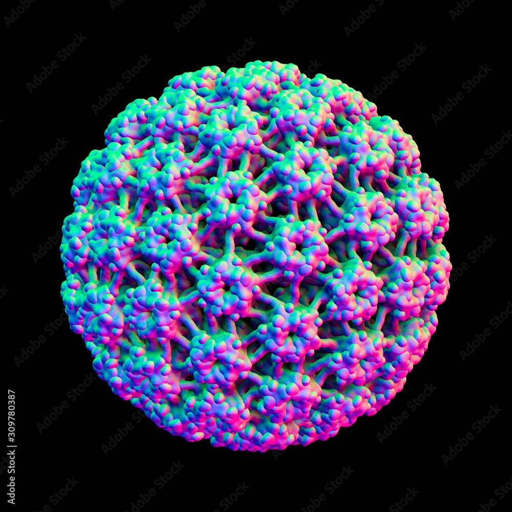 Human papillomavirus, a virus which causes warts located mainly on ...