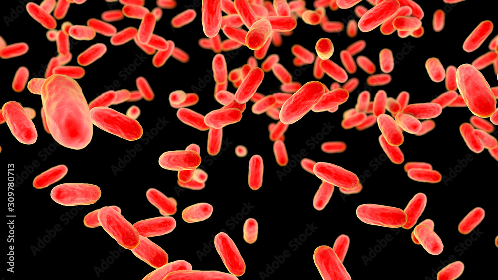 Bacteria Bordetella pertussis, 3D illustration. Gram-negative coccobacilli bacteria which cause ...