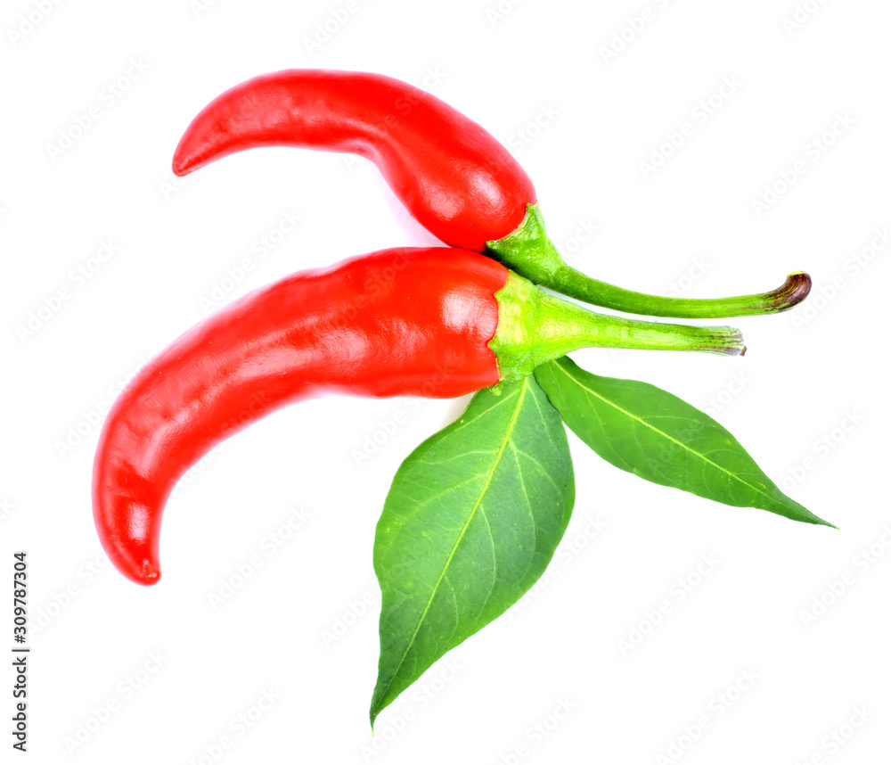 Two Chilli peppers Piri Piri with chili plant leaves isolated on white ...