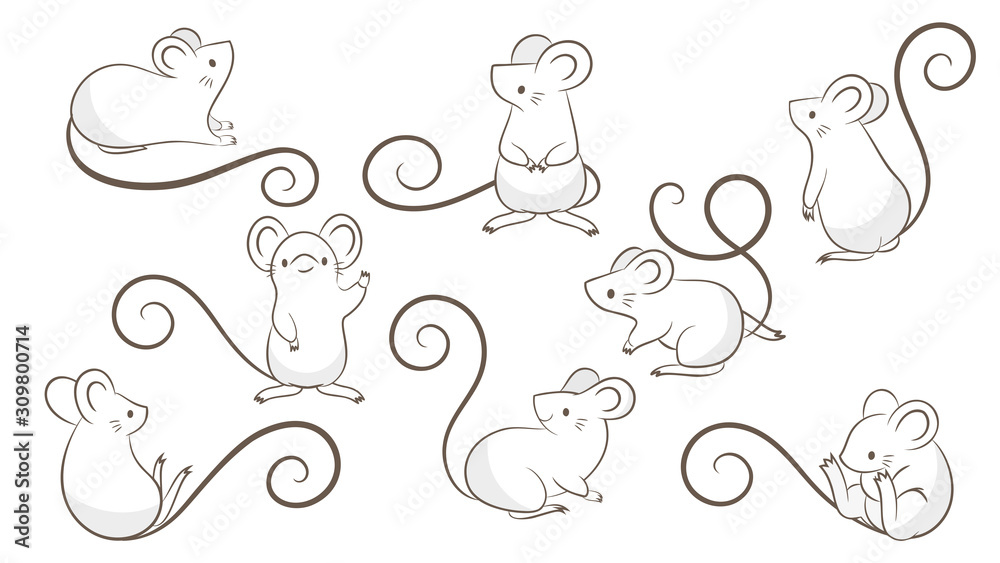 Set of hand drawn rats, mouse in different poses on white background ...