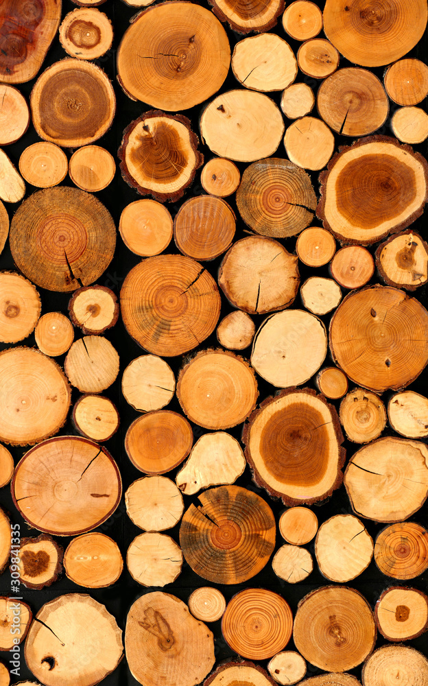 Circles of trees. Cross section of the forest. Wood texture pattern for ...