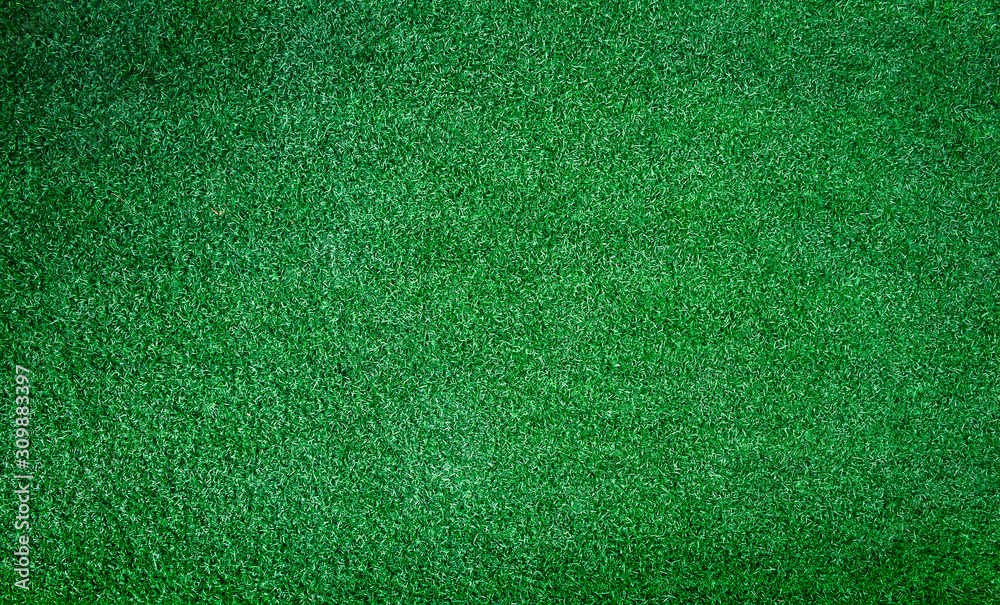 The surface of the lawn view from above. grass field top eye view ...