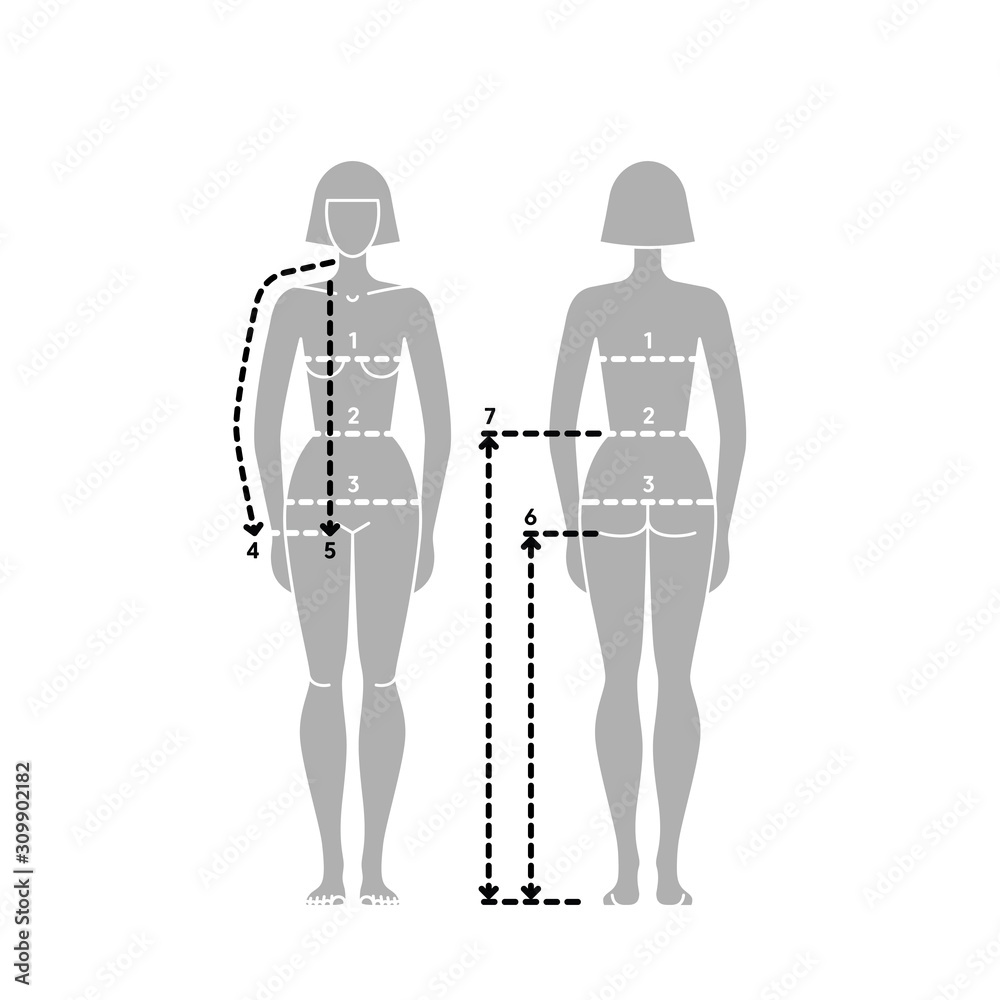 woman-body-measurement-chart-taking-measurement-illustration-stock