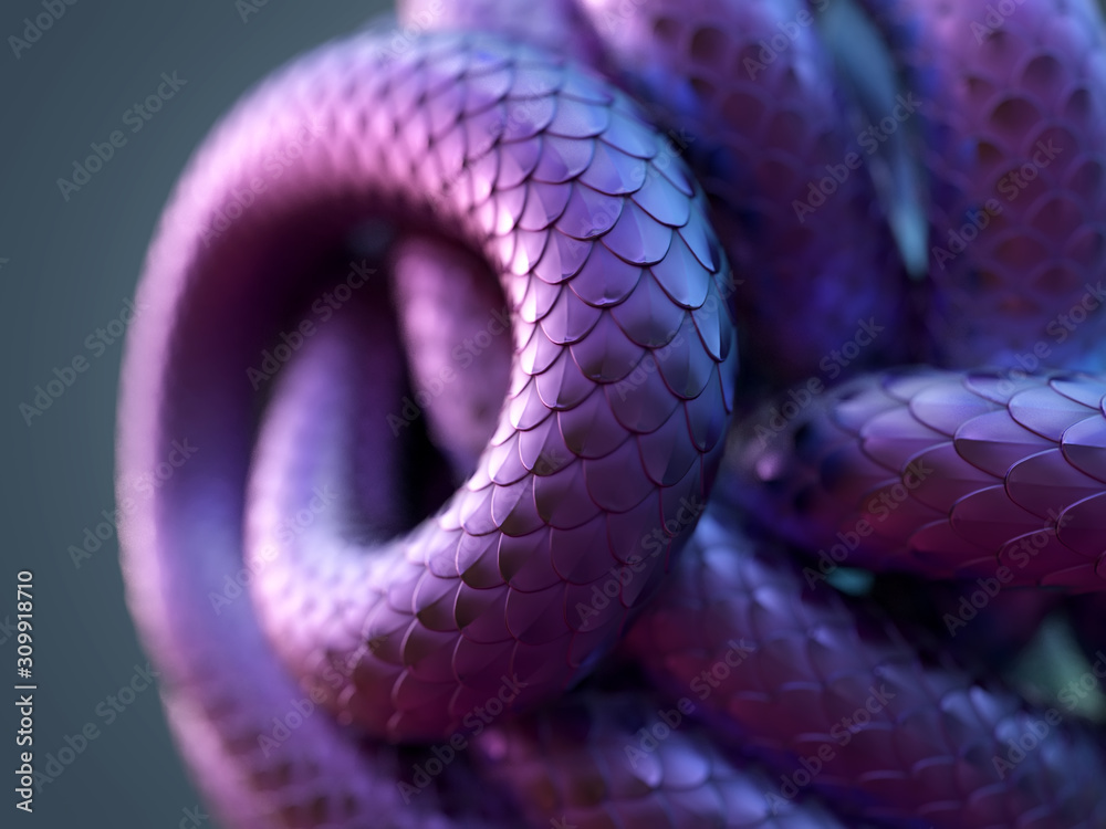 snake body curled up in a ball Stock Illustration | Adobe Stock