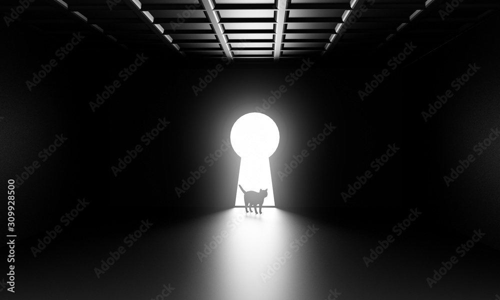 dark room with a shaped key door Stock Illustration | Adobe Stock