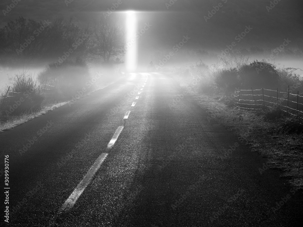 fog Stock Photo | Adobe Stock