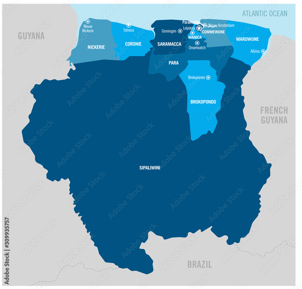 Suriname vector map in blue tones with separated provinces, states ...