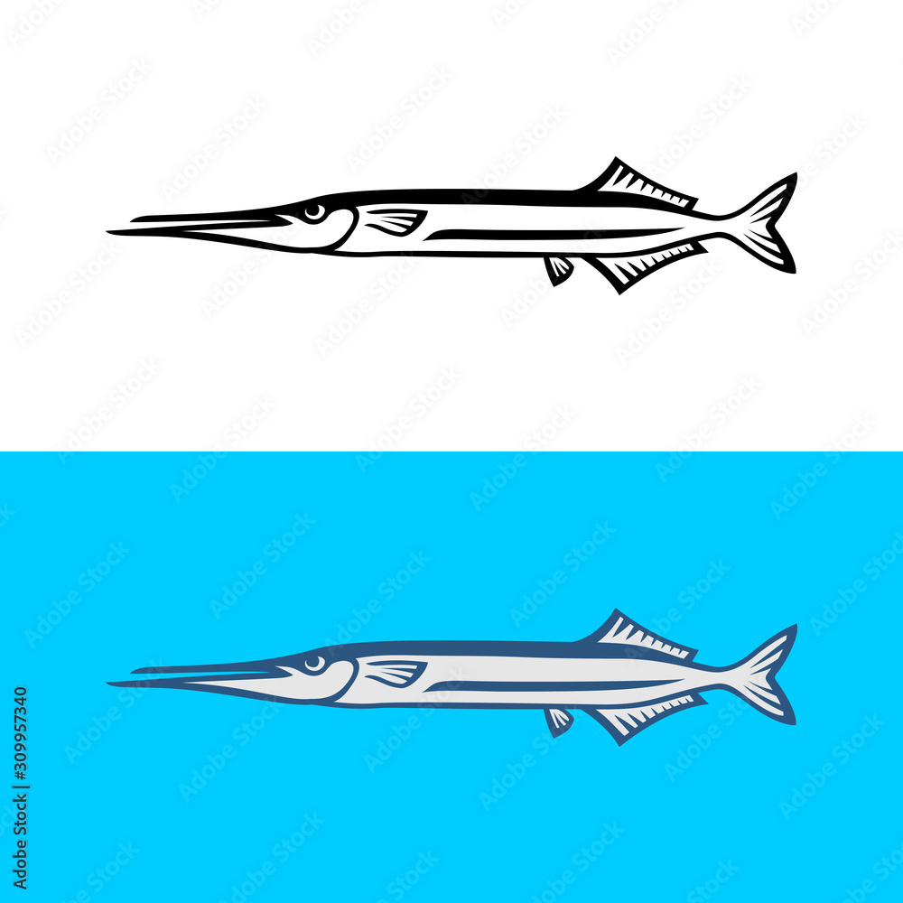 Garfish illustration isolated on white background. Gar fish logo ...