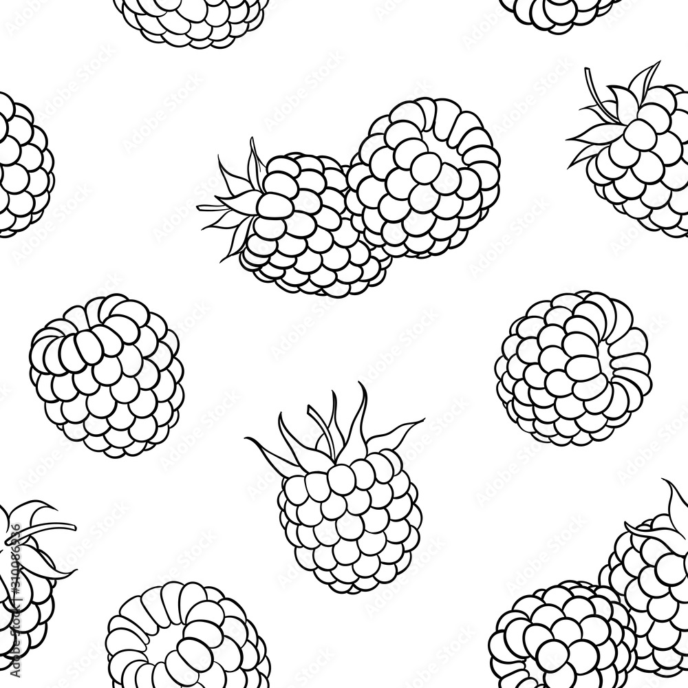 Beautiful seamless pattern cartoon black and white outline raspberry ...
