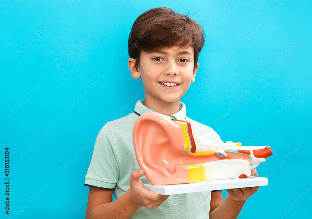 Cute mixed race child holding model of human ear. Concept Ear exam and ...