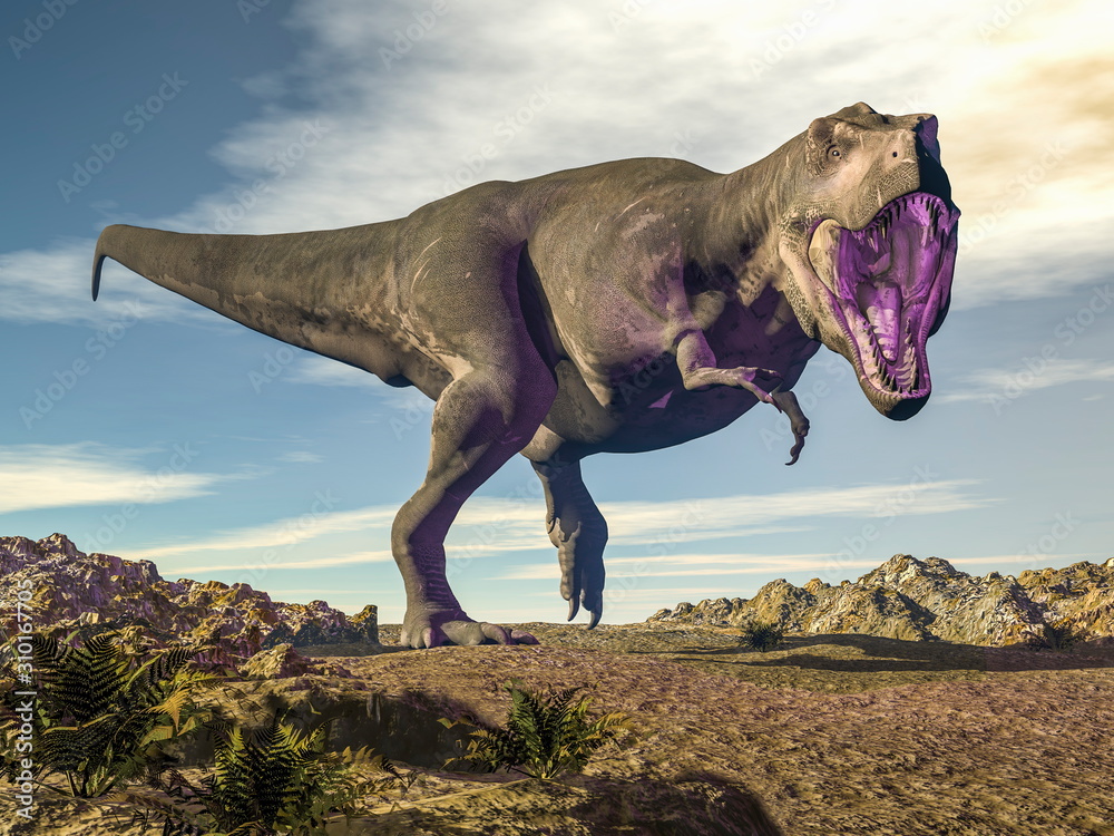 Tyrannosaurus rex raoring in the desert - 3D render Stock Illustration ...