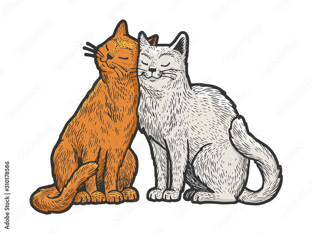 Cats Cuddling Drawing