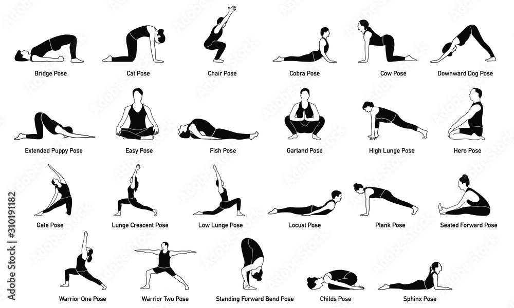 Popular Yoga Poses/Positions Illustrations Icons Stock Vector | Adobe Stock
