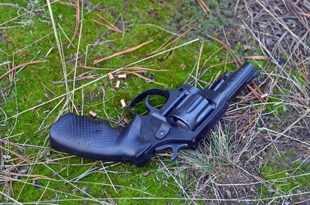 Sport revolver 4-mm caliber (Flobert) Snipe-3. December 17,2019 in Kiev ...