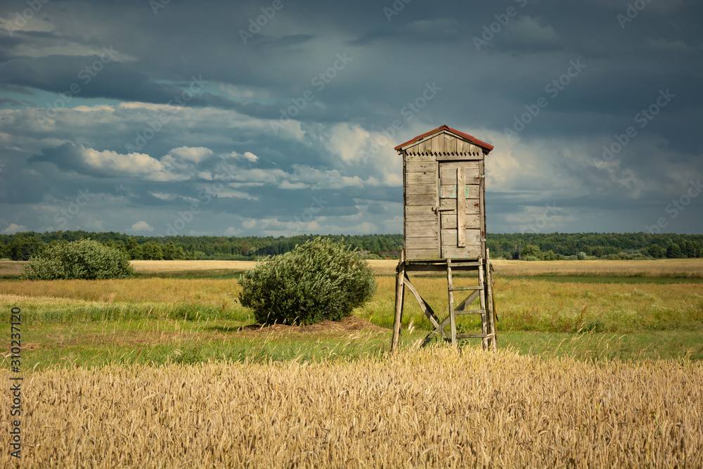 Observation booth with ladder in the grain, horizon and clouds on the ...