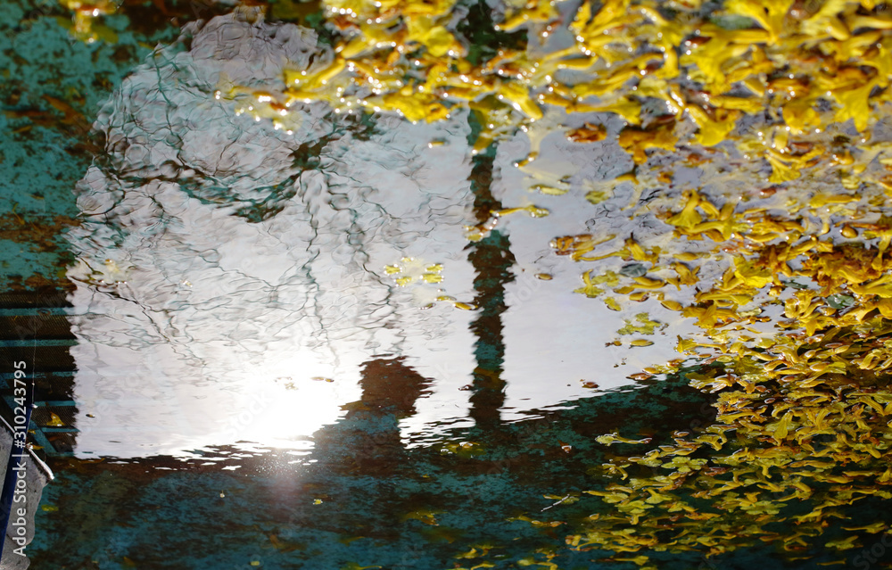 Abstract textures of a person reflection in water textures Stock Photo ...