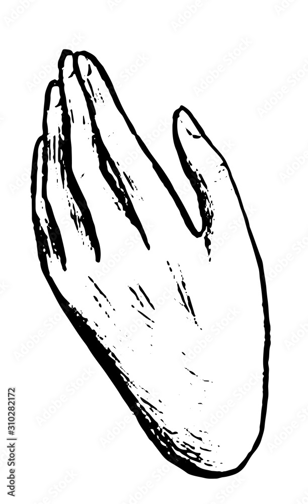 Hand drawn vector illustration. The human hand. Take, beg, hold out ...