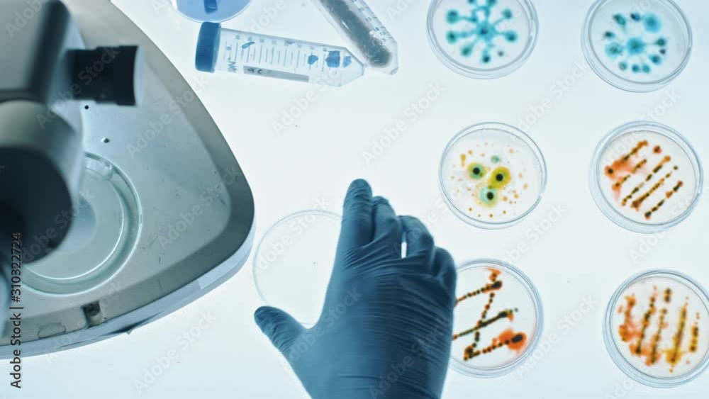 Vidéo Stock Microbiology Laboratory: Scientist Looking Under Microscope ...