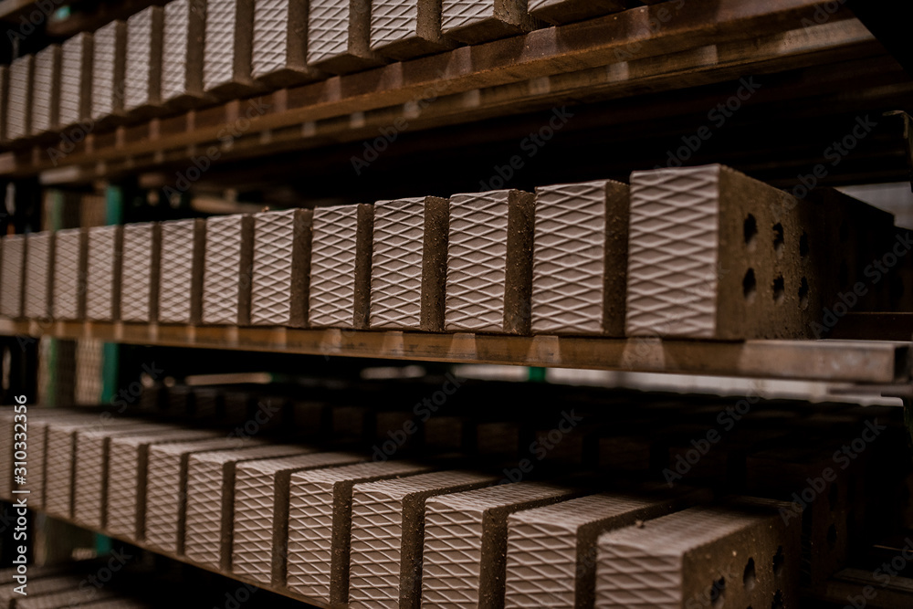 Plant for the production of bricks from clay. Plant for production ...