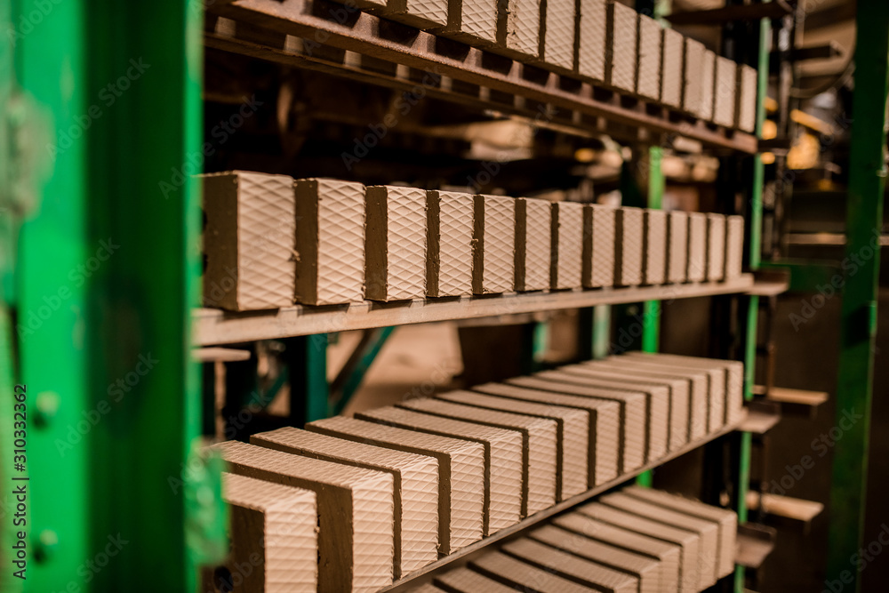 Plant for the production of bricks from clay. Plant for production ...