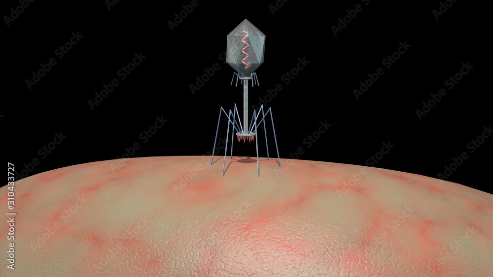 Phage therapy , Bacteriophage virus landing on bacteria . Injecting DNA ...