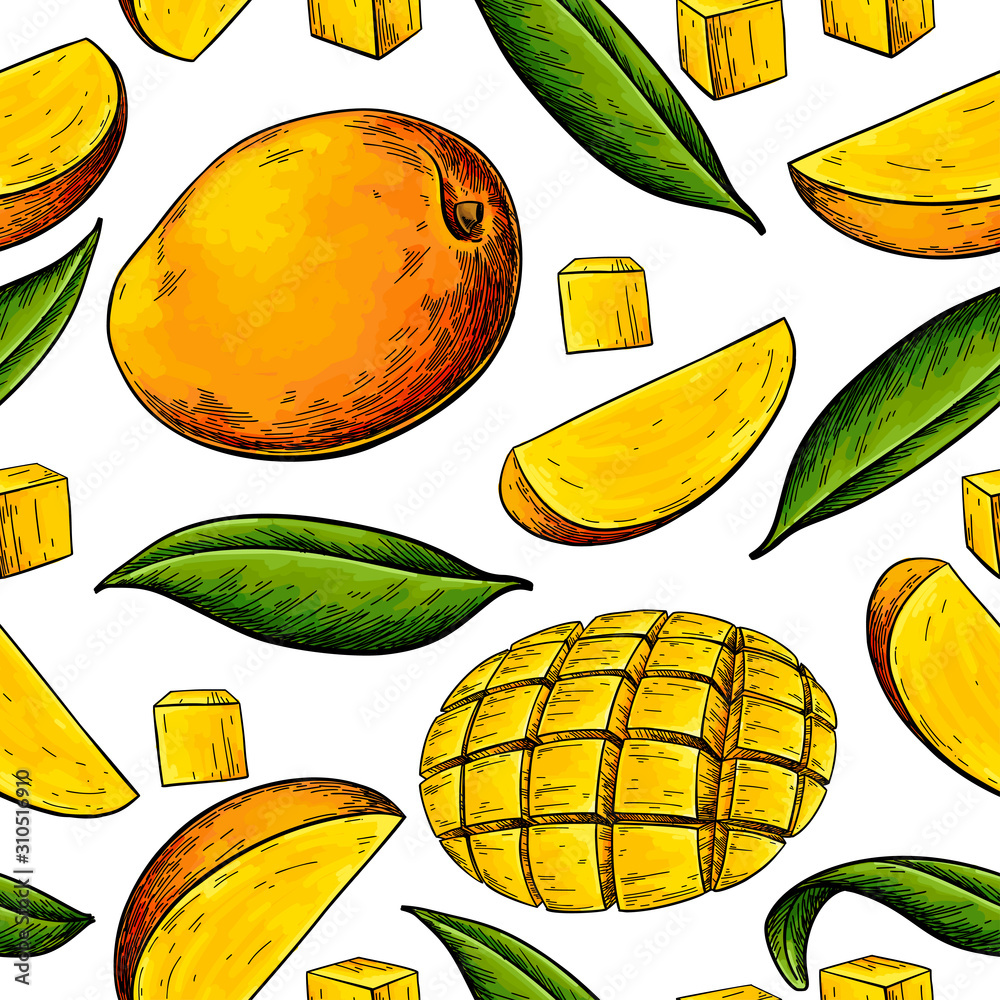 Mango seamless pattern. Vector drawing. Hand drawn tropical fruit Stock ...