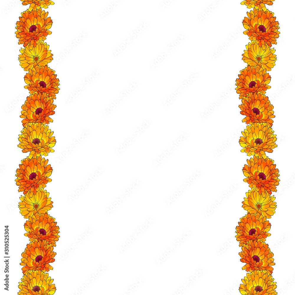 Orange Flowers Border