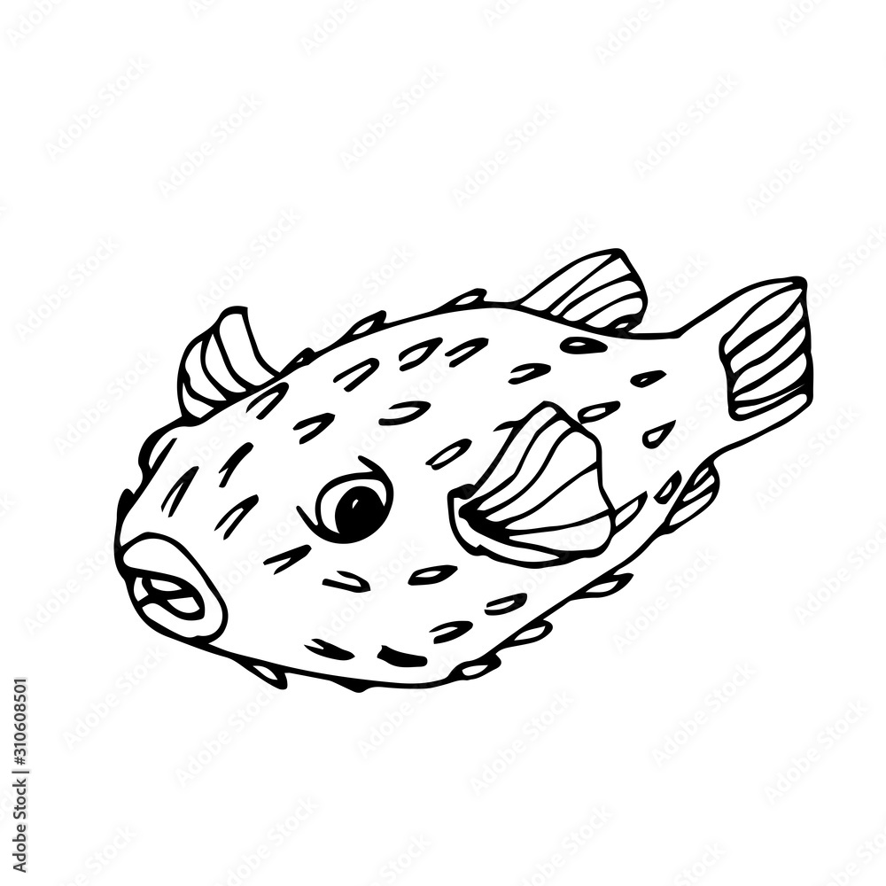 How To Draw A Puffer Fish