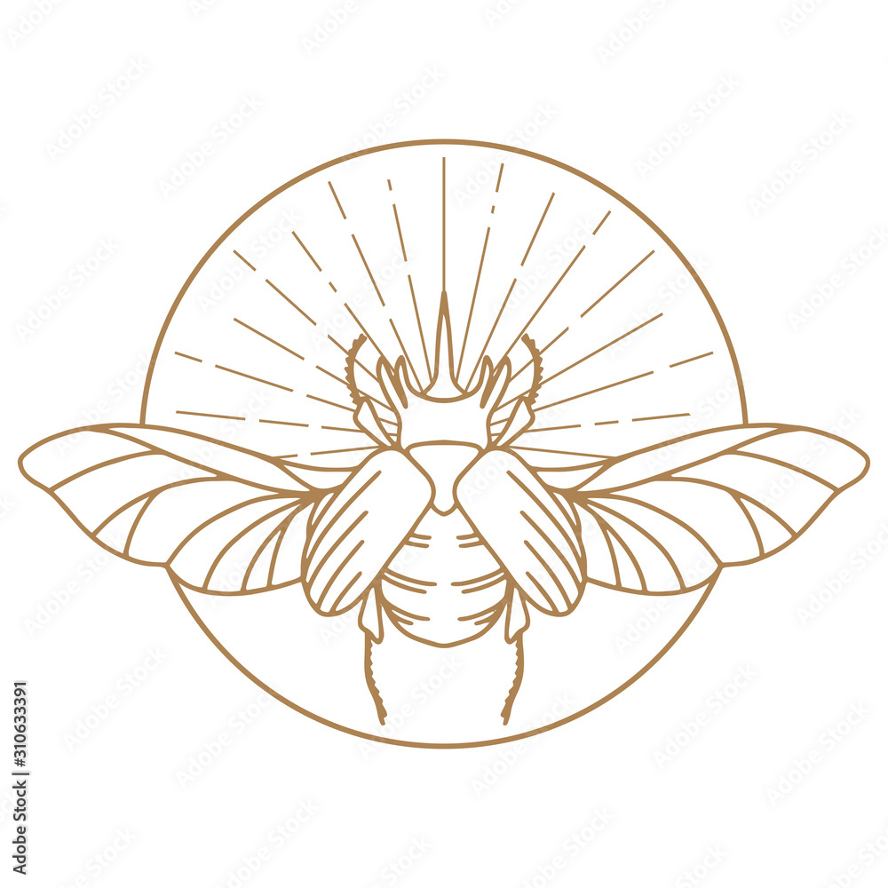 Egyptian Scarab Drawing
