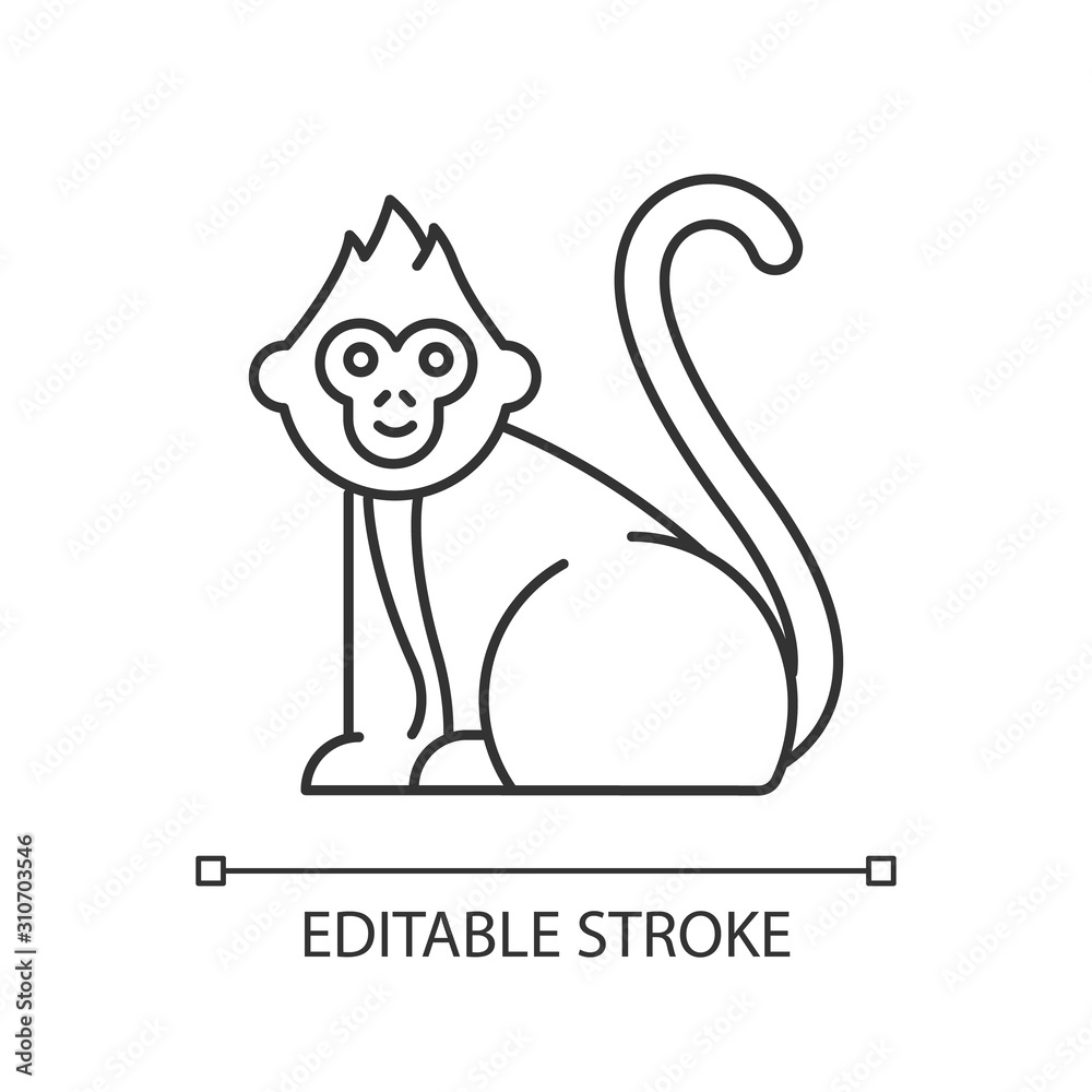 Baby monkey linear icon. Tropical country animal. Indonesian islands ...