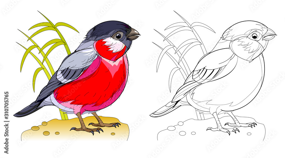 Colorful and black and white page for coloring book for kids. Fantasy ...