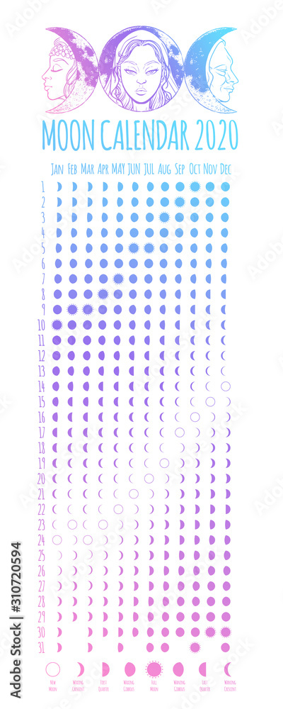 Moon calendar, 2020 year, lunar phases, cycles. Design illustrated with ...