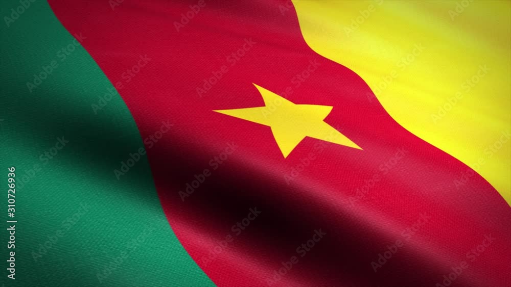 Flag of Cameroon. Waving flag with highly detailed fabric texture ...