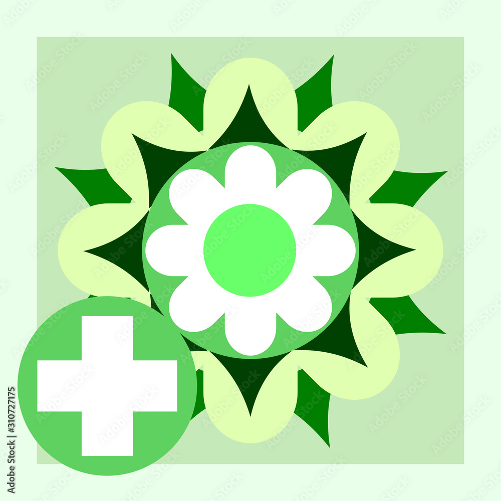 Medicinal flowers. Vector. Natural traditional medicine. Banner ...