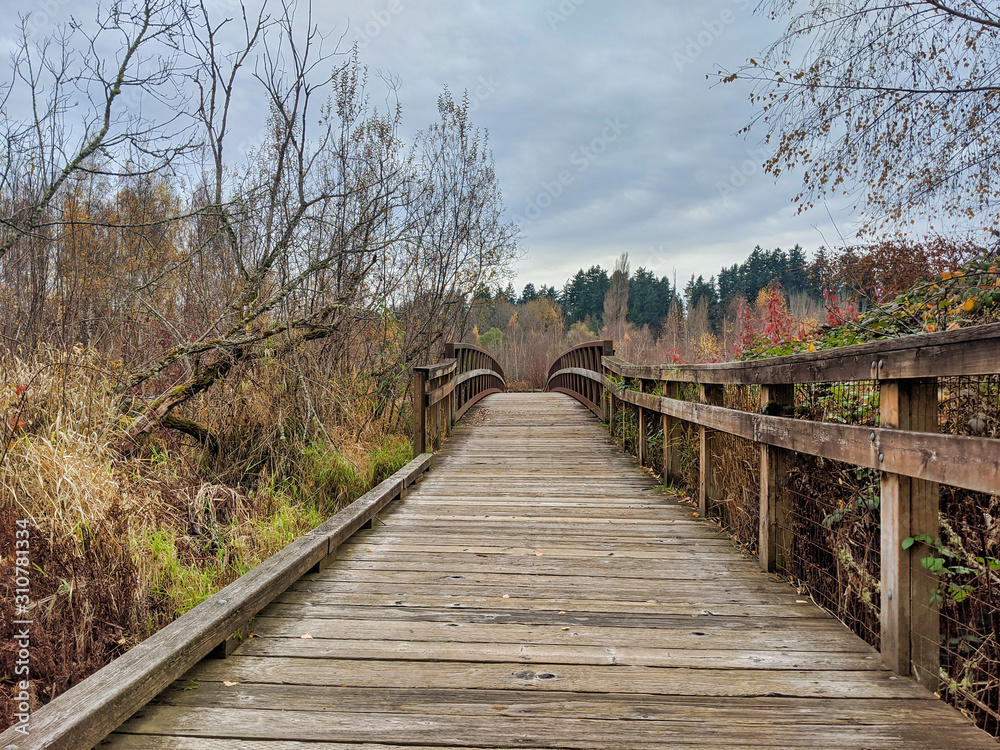Walking bridge along Mercer Slough Environmental Park in downtown ...