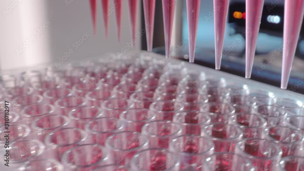 Automated DNA Processor real-time PCR cycler. PCR robotic machine for ...