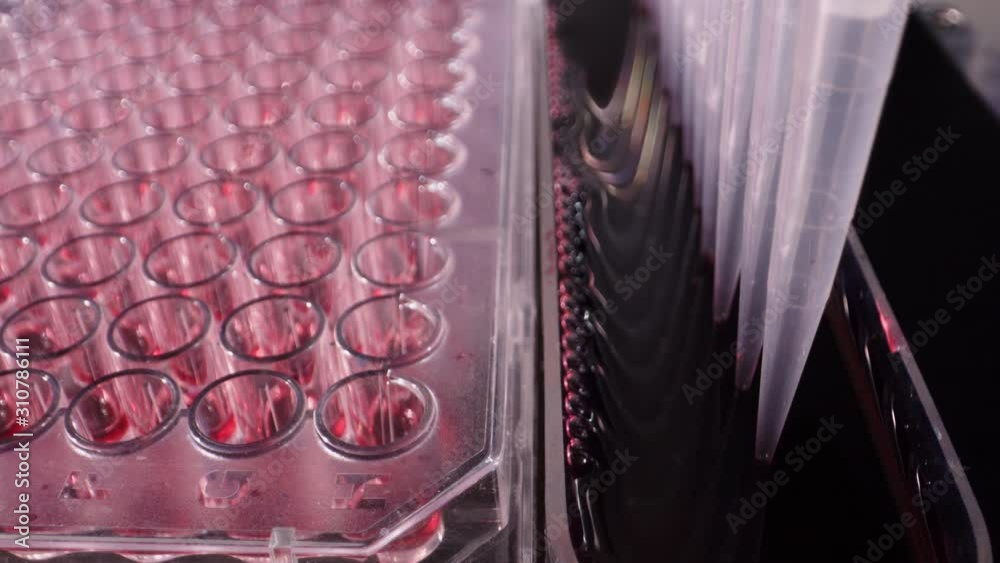 Automated DNA Processor real-time PCR cycler. PCR robotic machine for ...