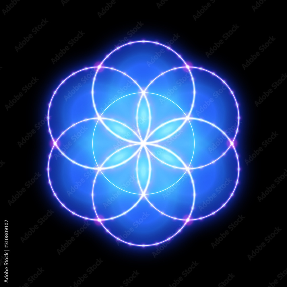 Sacred geometry, seed of life. Vector art. Stock Vector | Adobe Stock