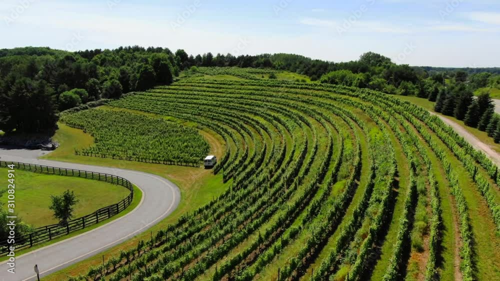 Vineyard tours Wine Tasting in Summer Grape vines Travel Trip Vacation ...